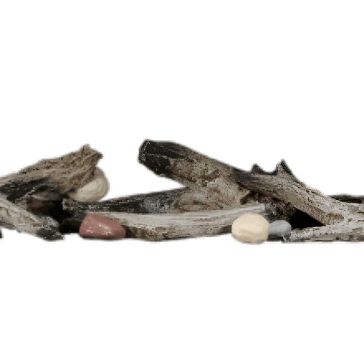 Napoleon Direct Vent Gas Fireplace Beach Fire Kit BFKM – Flame Authority