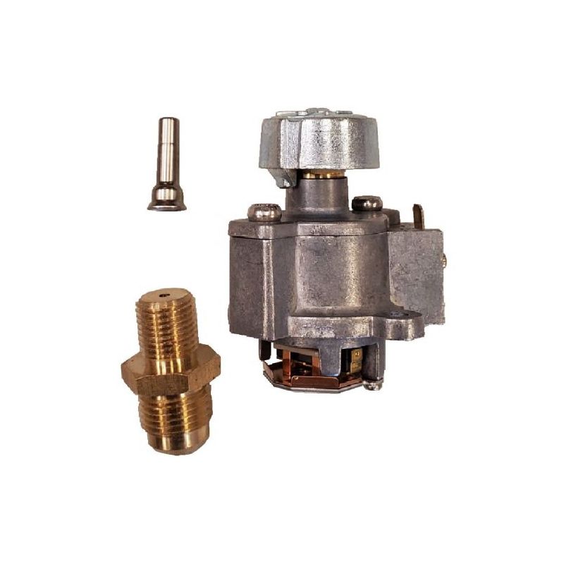 Napoleon NG To Propane Conversion Kit For Galaxy Outdoor Fireplaces ...