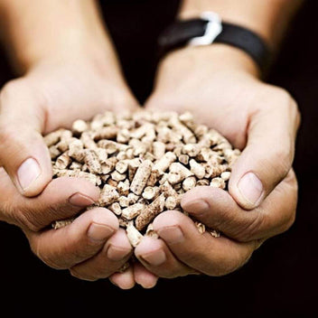 EverWarm – Flame Authority